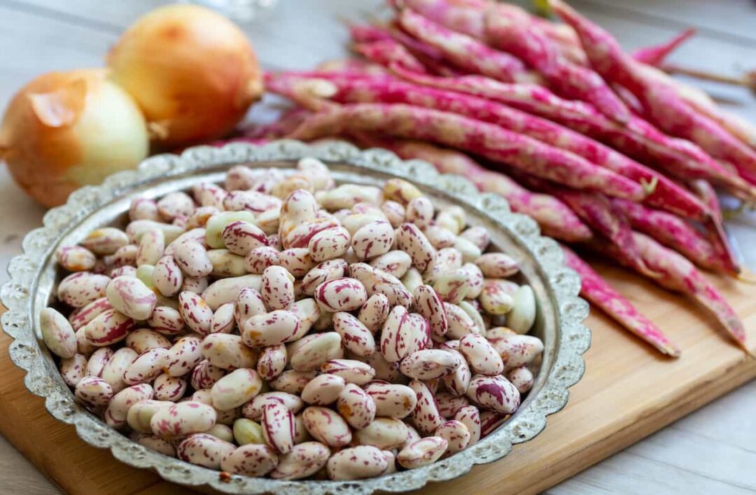 What to Know About Tongues of Fire Beans - Minneopa Orchards