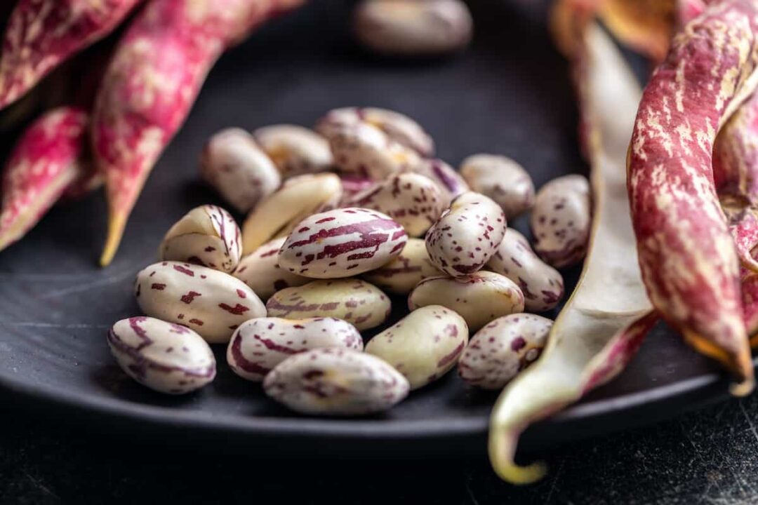 What to Know About Tongues of Fire Beans - Minneopa Orchards