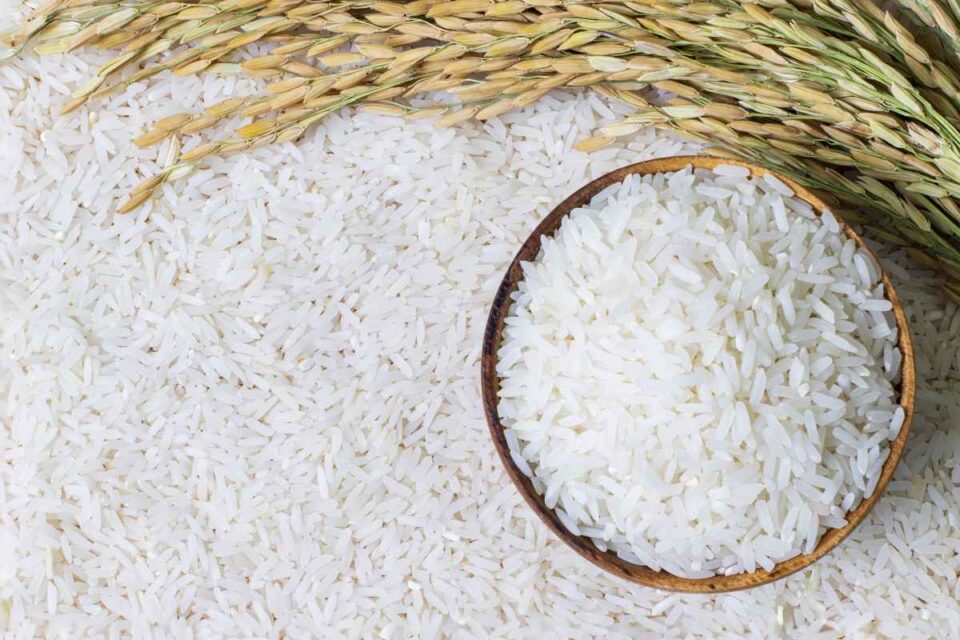 How to Store Rice Long Term: The 5 Best Methods - Minneopa Orchards