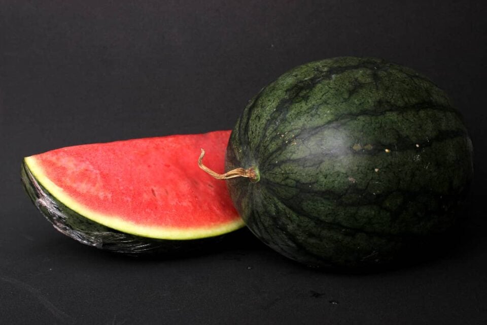 All About the Florida Giant Watermelon - Minneopa Orchards