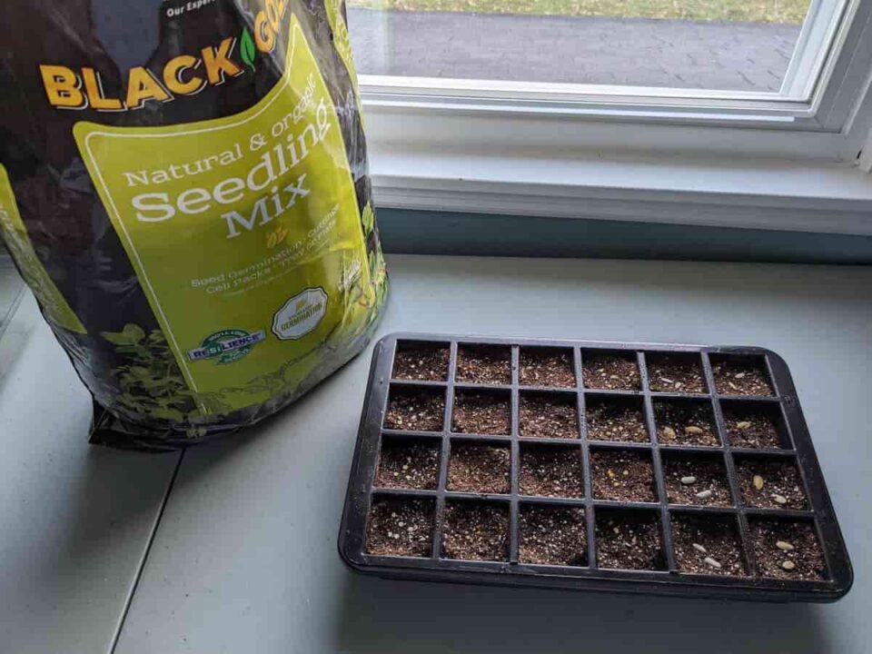 Starting Seeds Indoors: The Indoor Gardener's Guide - Minneopa Orchards