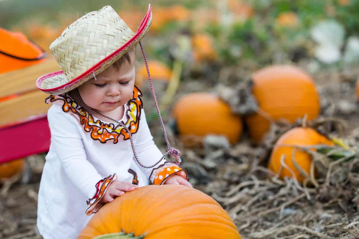 11 of the Best Pumpkin Patches in Arizona - Minneopa Orchards
