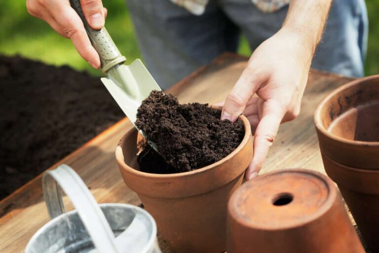 Seed Starting Mix vs Potting Soil - Minneopa Orchards