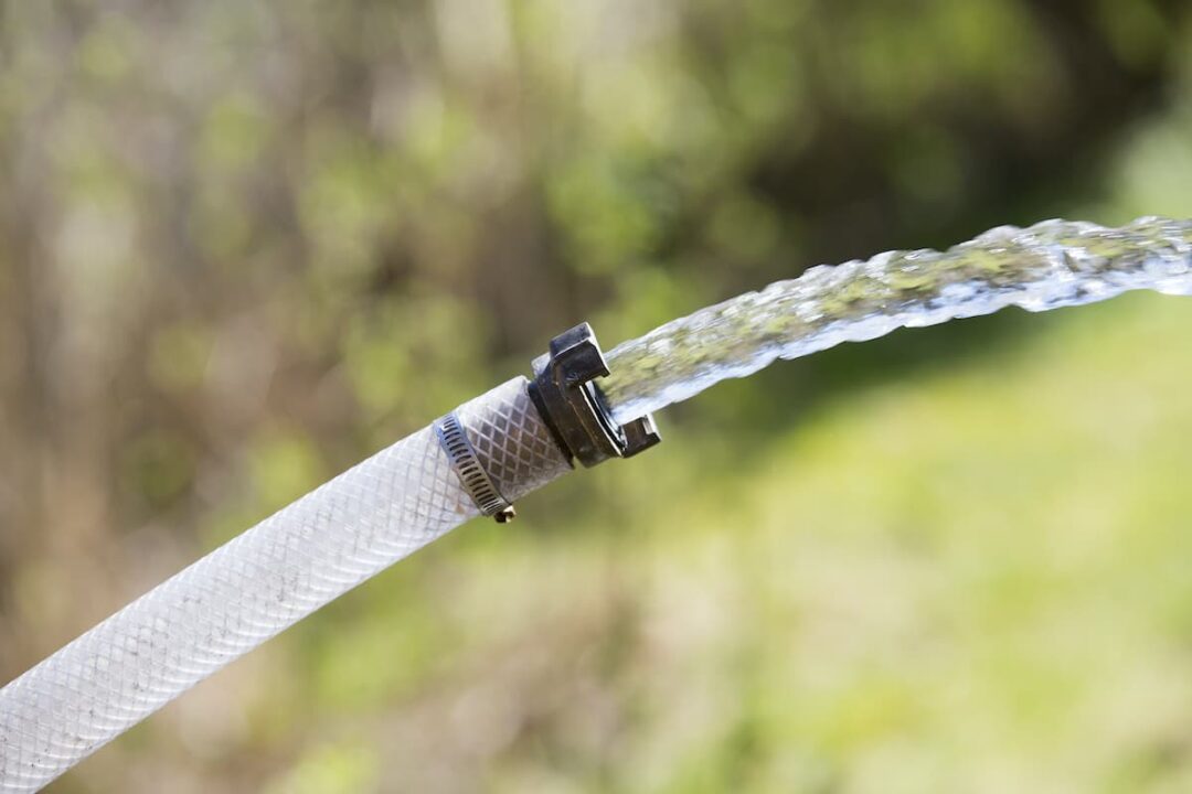 Pumpkin Water Guide: Everything You Need To Know About Watering Pumpkin ...