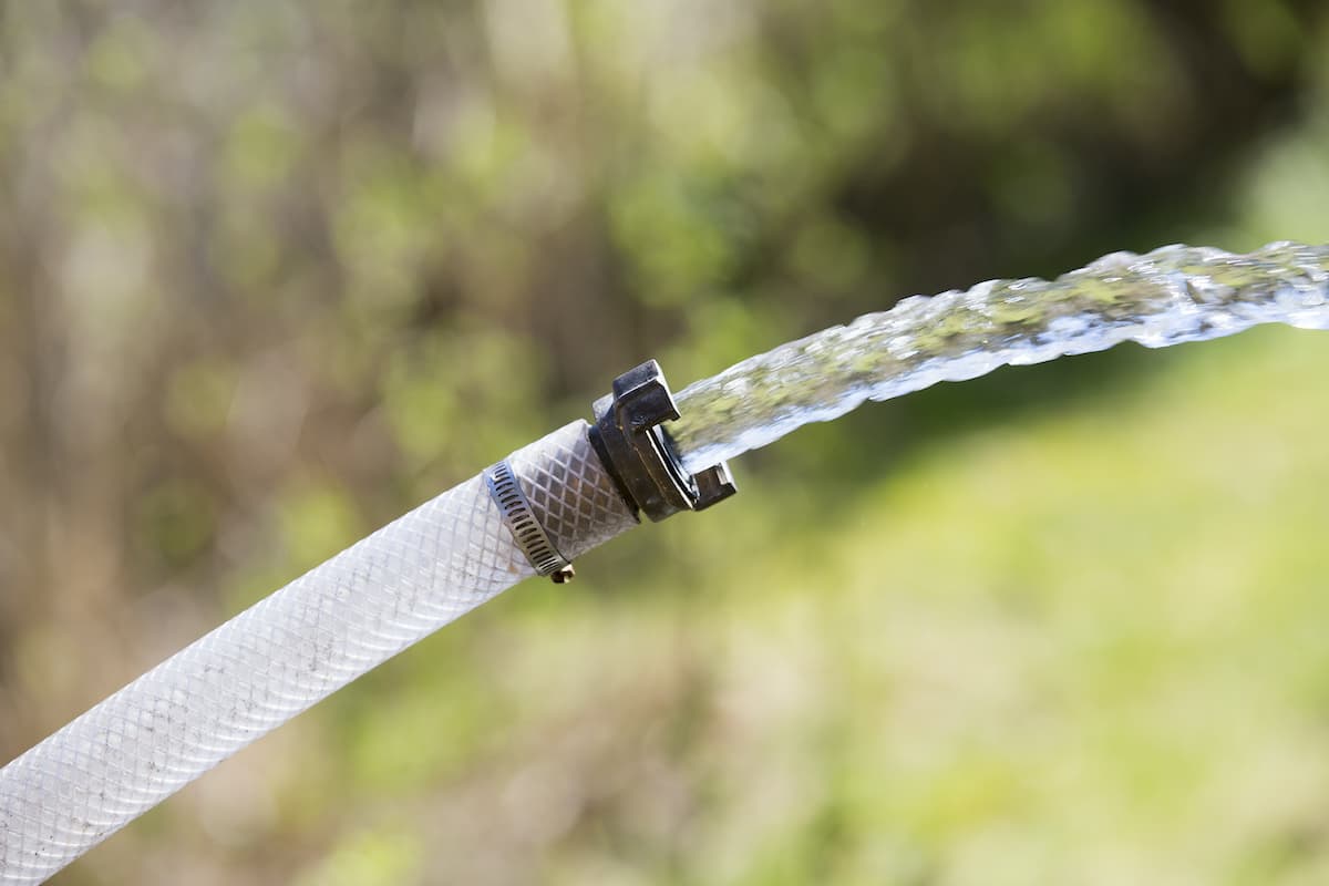 Pumpkin Water Guide: Everything You Need To Know About Watering Pumpkin ...