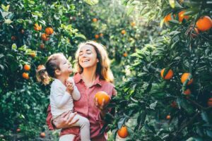 How to Identify and Eliminate Orange Tree Pests - Minneopa Orchards