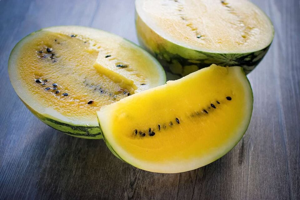 5 Important Facts About The Mountain Sweet Yellow Watermelon - Minneopa Orchards
