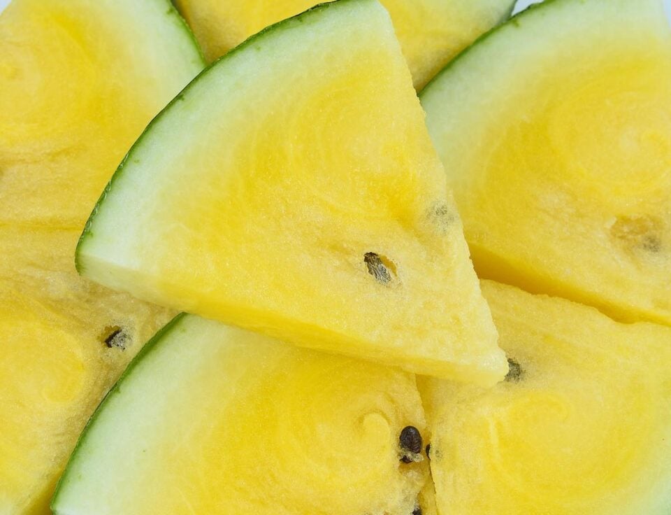 5 Important Facts About The Mountain Sweet Yellow Watermelon - Minneopa ...