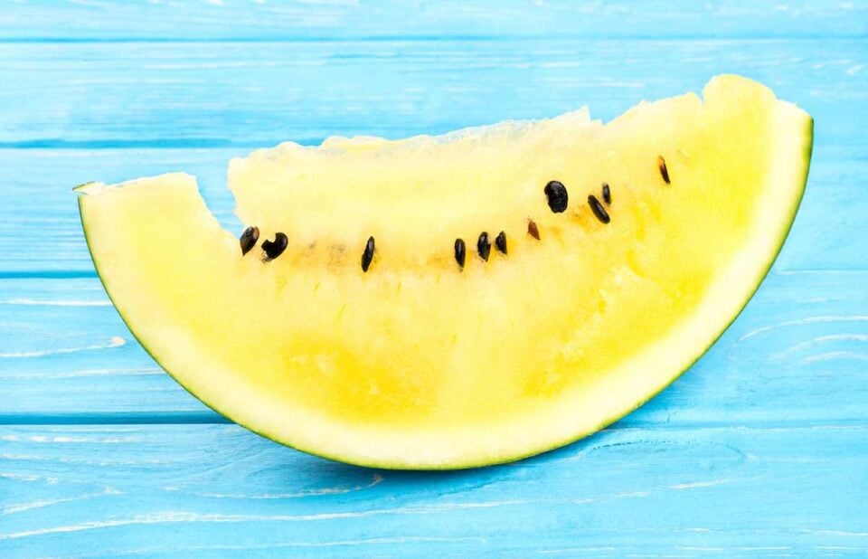 5 Important Facts About The Mountain Sweet Yellow Watermelon - Minneopa ...