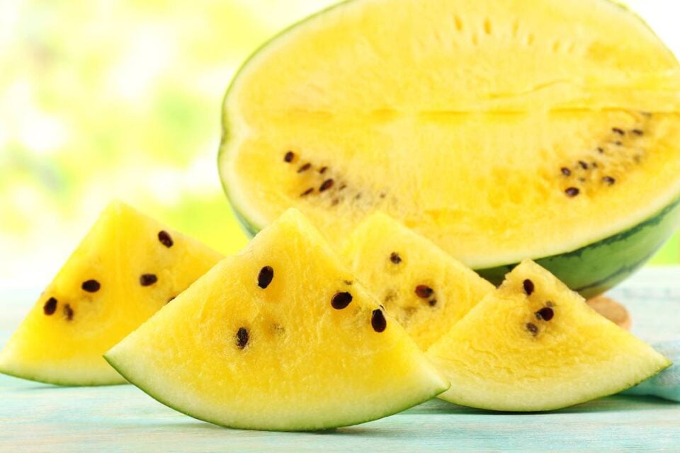 5 Important Facts About The Mountain Sweet Yellow Watermelon - Minneopa ...
