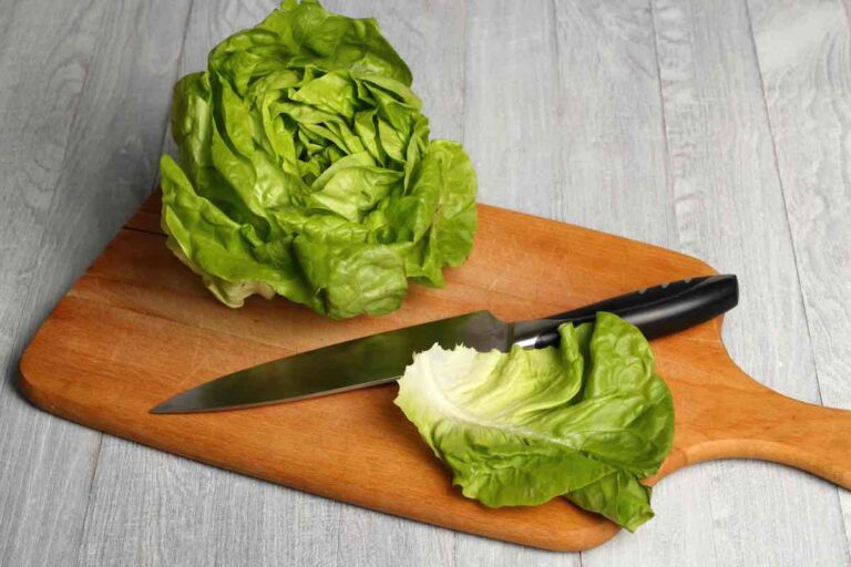 Everything You Need To Know About Bibb Lettuce - Minneopa Orchards