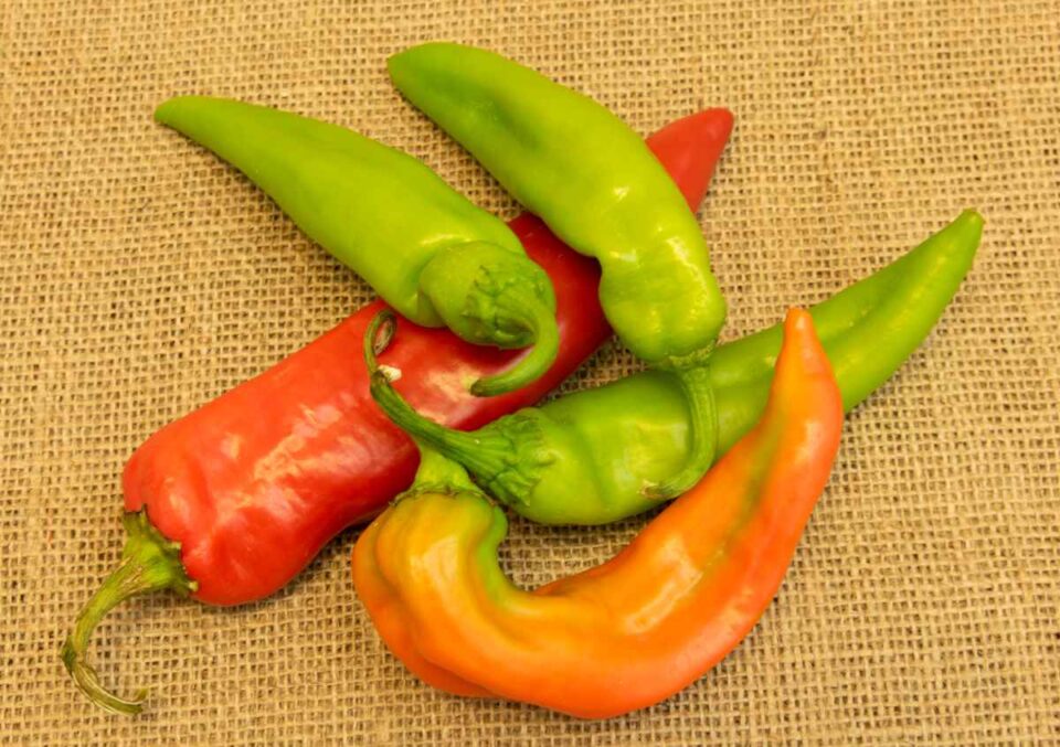 Anaheim Peppers: Colorful Pops of Flavor With Mild Heat - Minneopa Orchards