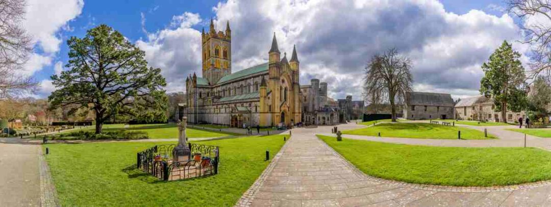 Buckfast Bees: The Ultimate Hybrids - Minneopa Orchards