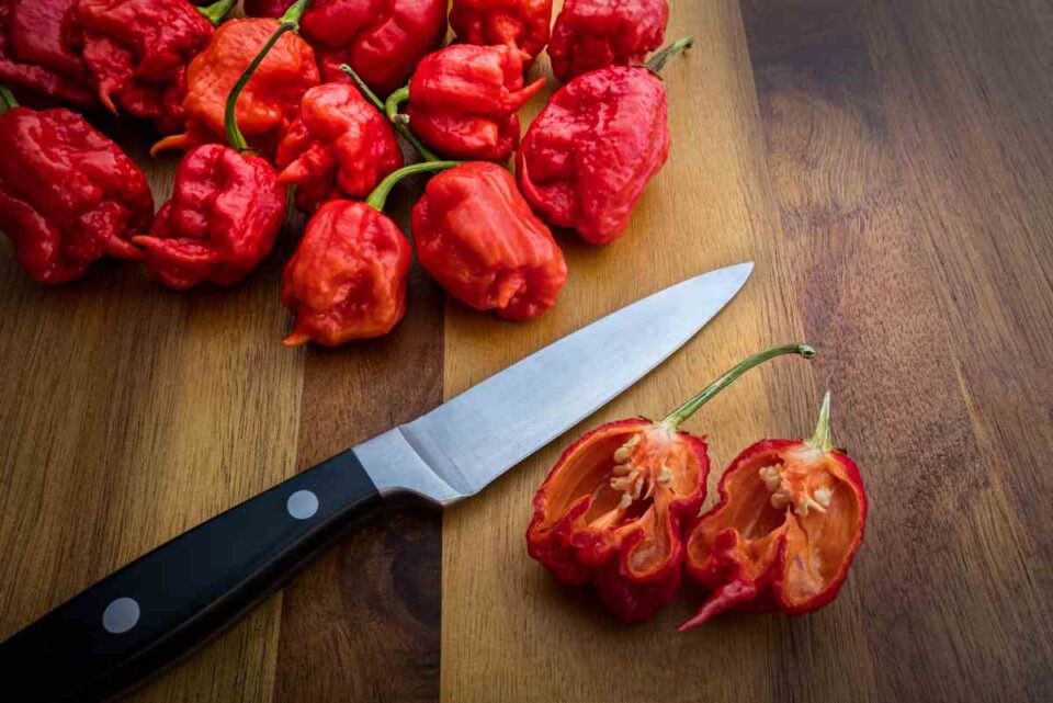 Carolina Reaper Peppers: How to Plant, Grow, and Enjoy the Hottest ...