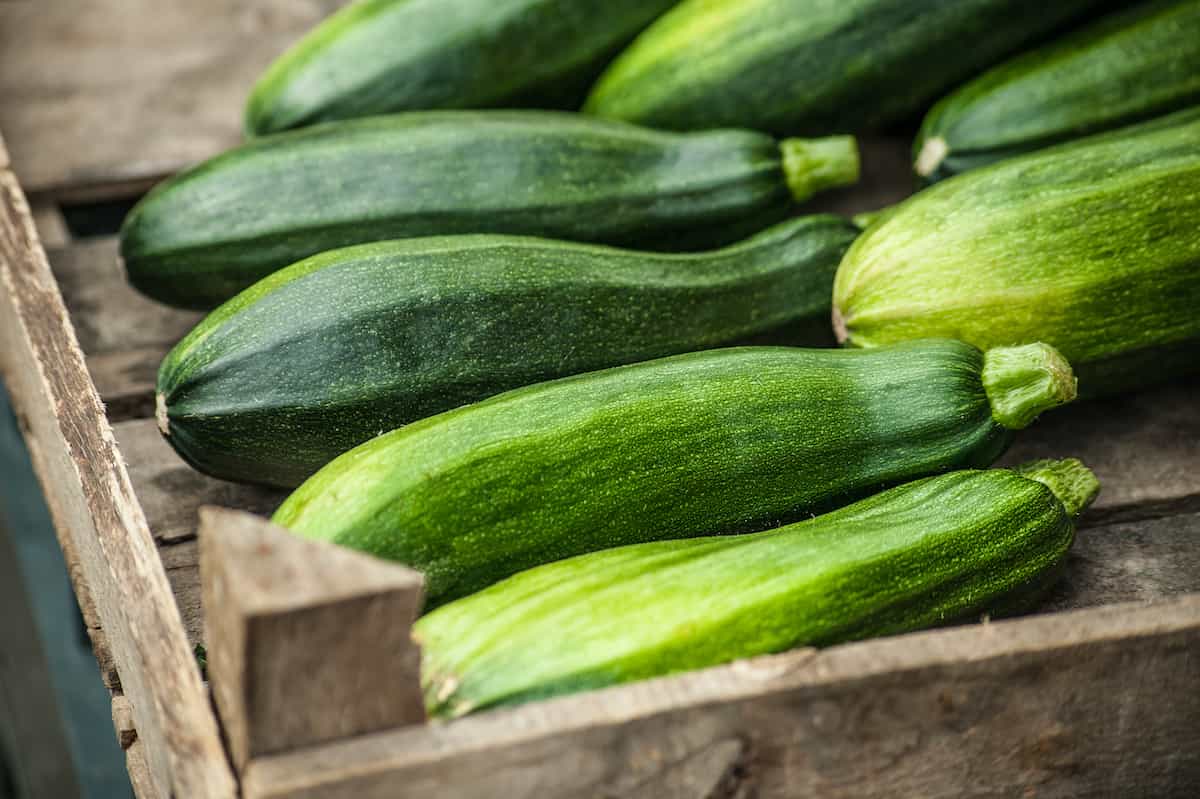 Zucchini vs. Cucumber: What's the Difference? - Minneopa Orchards