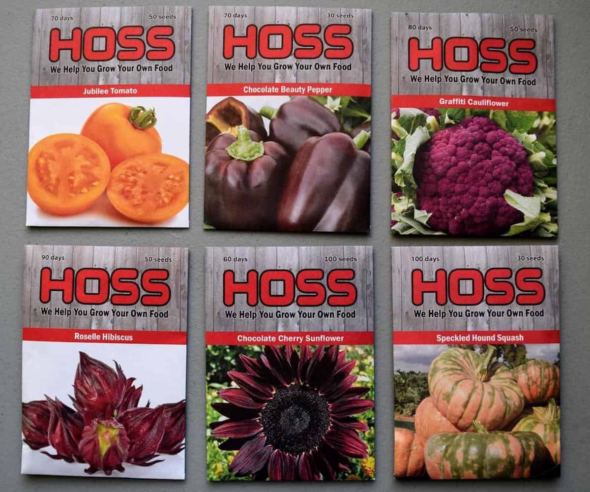 How to Use Seed Starting Plugs - Minneopa Orchards