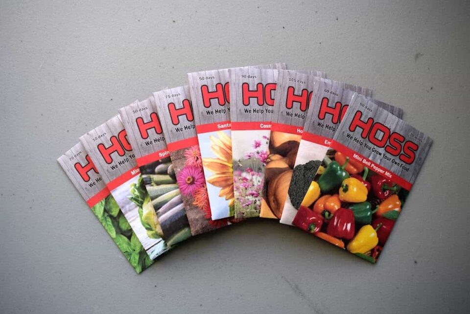 13 Indoor Vegetable Gardening Ideas - Minneopa Orchards