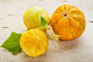 Lemon Cucumbers: How to Plant, Grow, and Enjoy These Weird-Looking ...