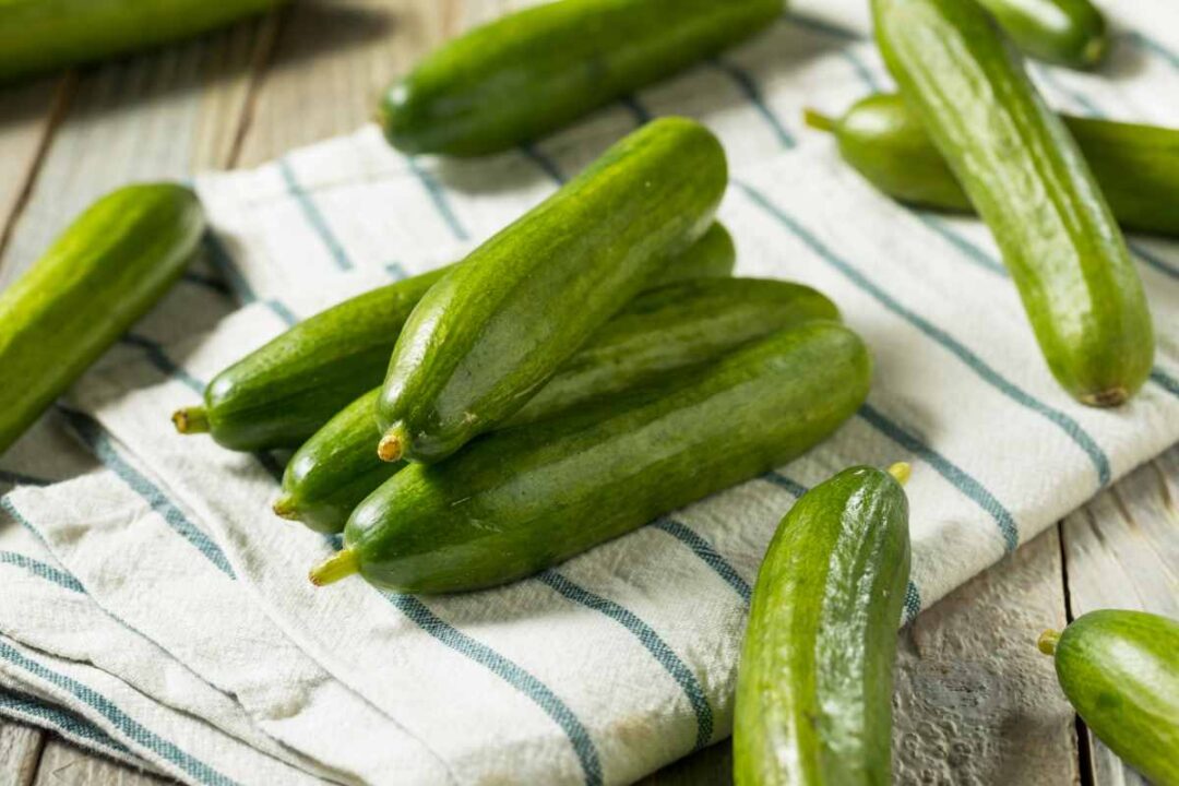 Persian Cucumbers: How to Plant, Grow, and Eat These Delicious Veggies ...