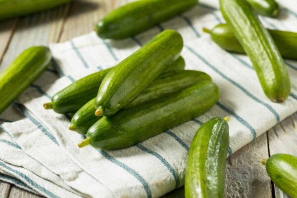 The Complete Guide to Growing Cucumbers - Minneopa Orchards