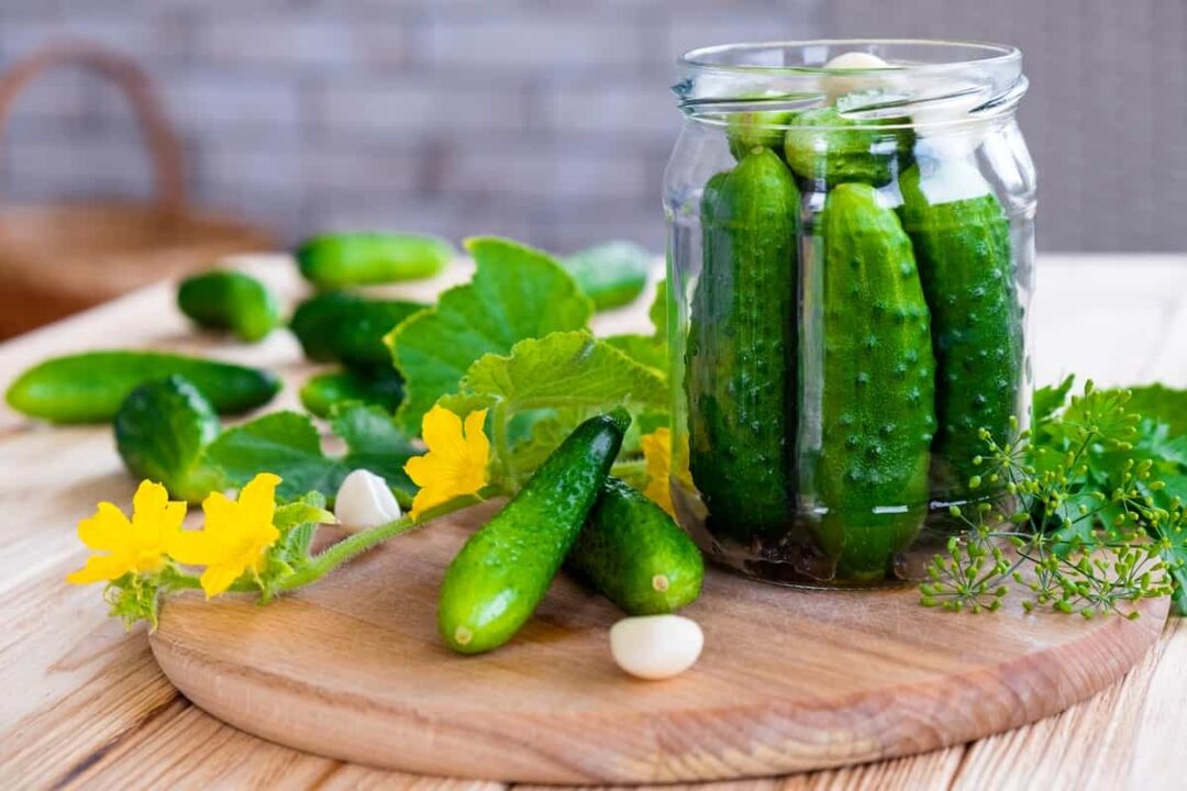 All About the Calypso Cucumber - Minneopa Orchards