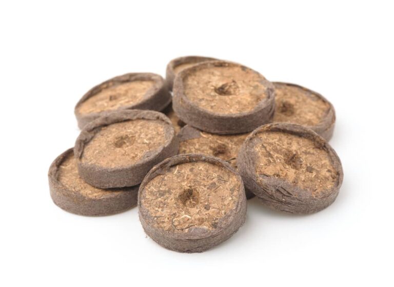 How to Use Seed Starting Plugs - Minneopa Orchards