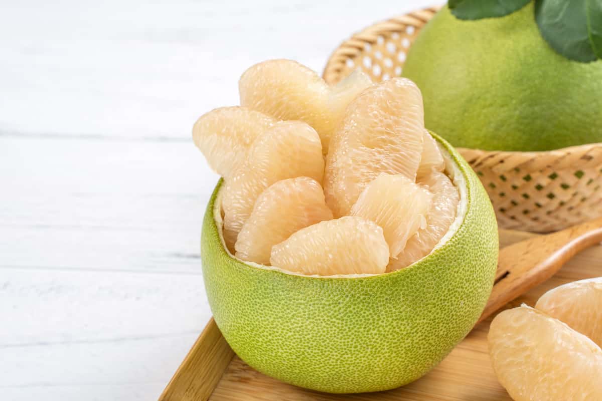 How to Plant a Grapefruit Tree - Minneopa Orchards