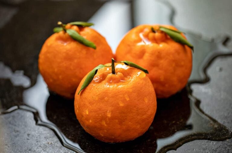 The Ponkan Tangerine Tree - Minneopa Orchards