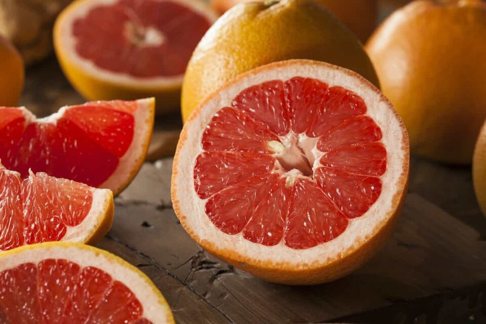 How to Plant a Grapefruit Tree - Minneopa Orchards