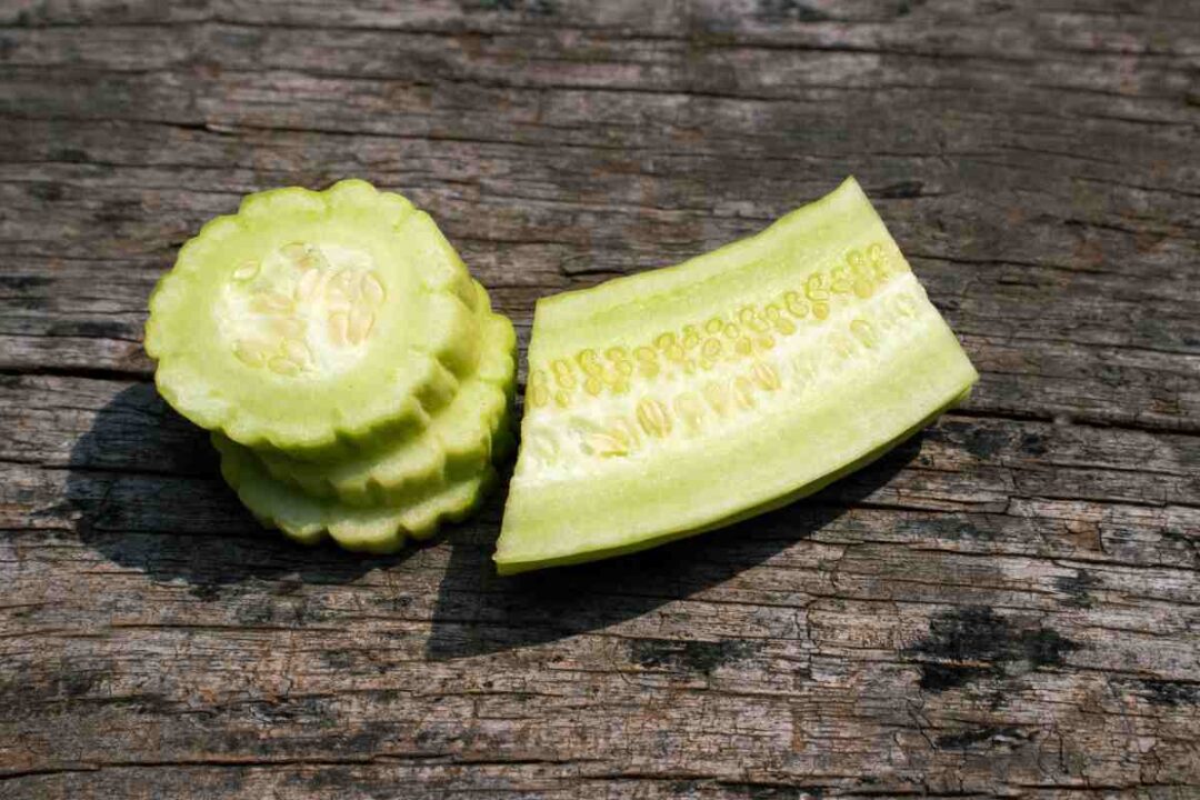 Armenian Cucumbers: The Best Cultivation Instructions for Your Garden ...