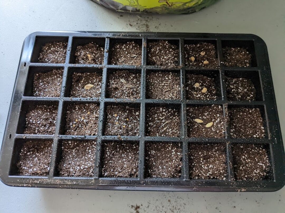 Starting Seeds Indoors: The Indoor Gardener's Guide - Minneopa Orchards