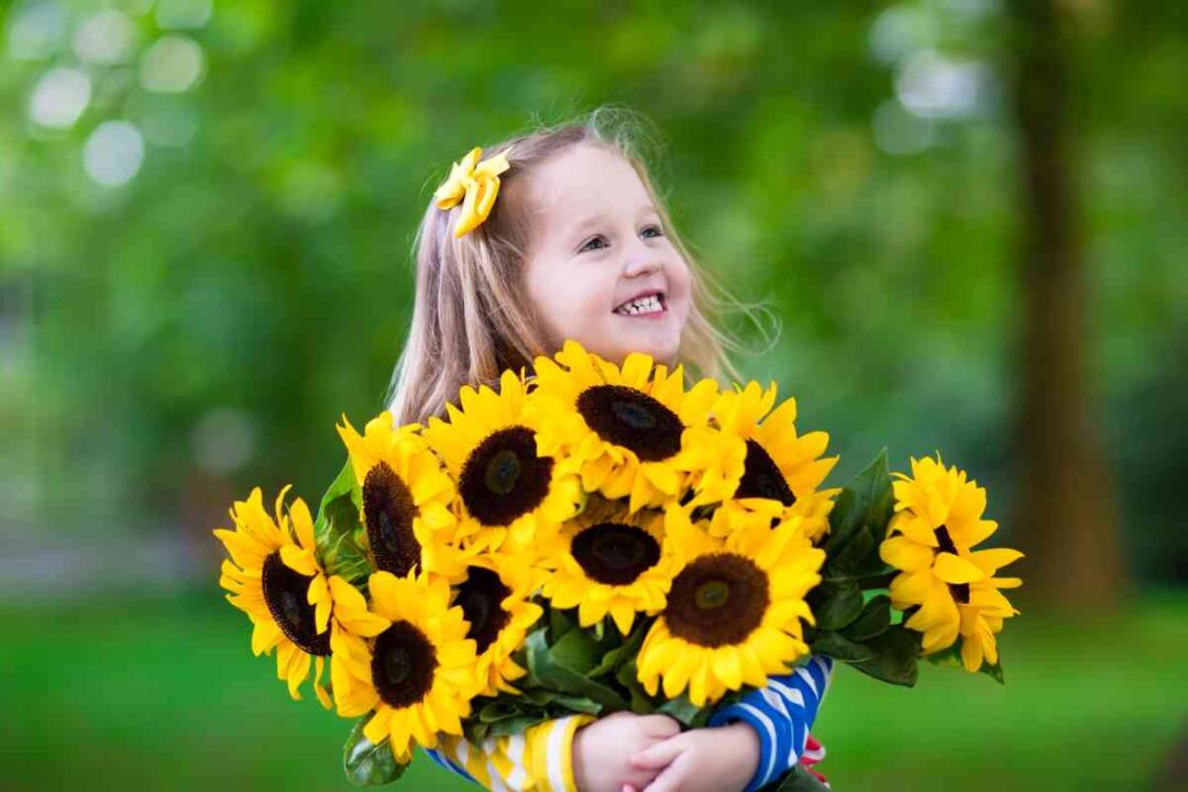 Big Smile Sunflower: Planting, Growing, and Enjoying This Little Ray of ...