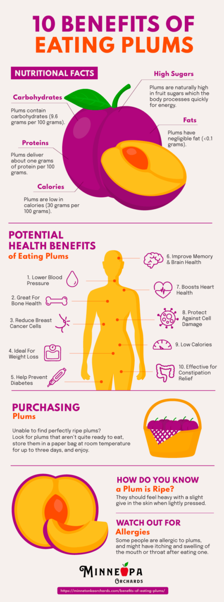 10 Benefits of Eating Plums For Your Body - Minneopa Orchards