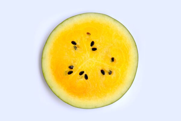 The Sweet Yellow Petite Watermelon - Minneopa Orchards