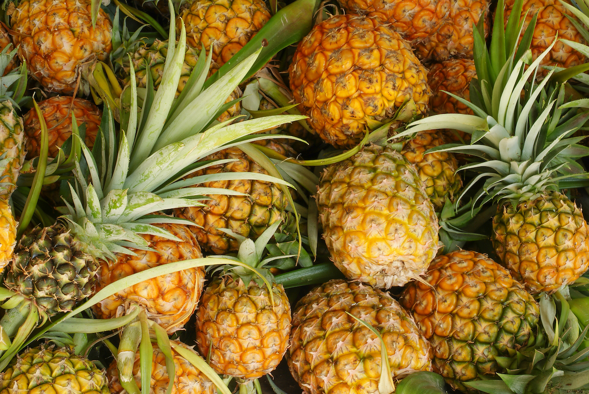 The Delicious Pinkglow Pineapple - Minneopa Orchards