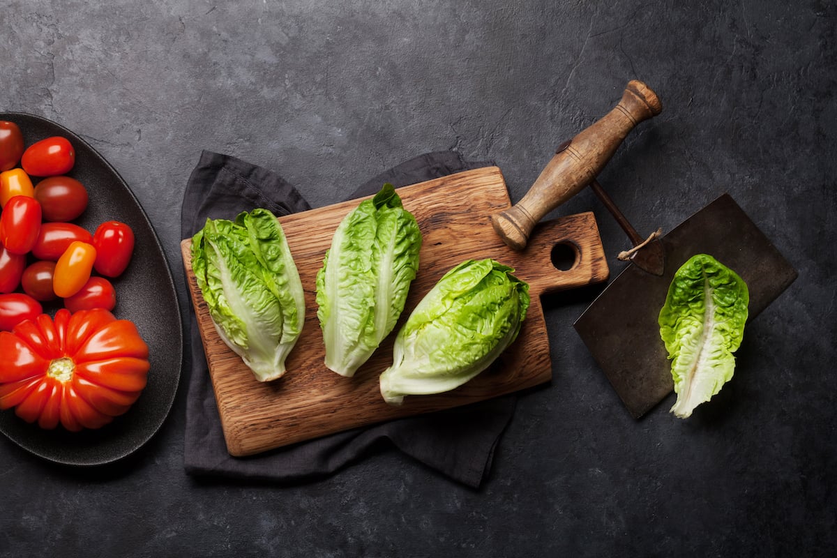 The Classic Romaine Lettuce - Minneopa Orchards