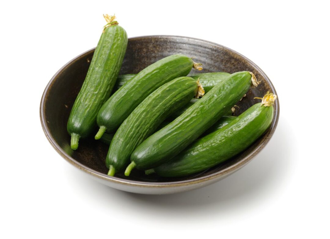 The Many Uses for Beit Alpha Cucumbers - Minneopa Orchards
