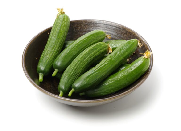 The Many Uses for Beit Alpha Cucumbers - Minneopa Orchards