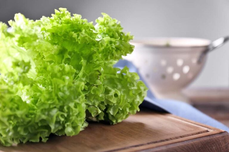 Batavia Lettuce: Everything You Need to Know About Growing This ...