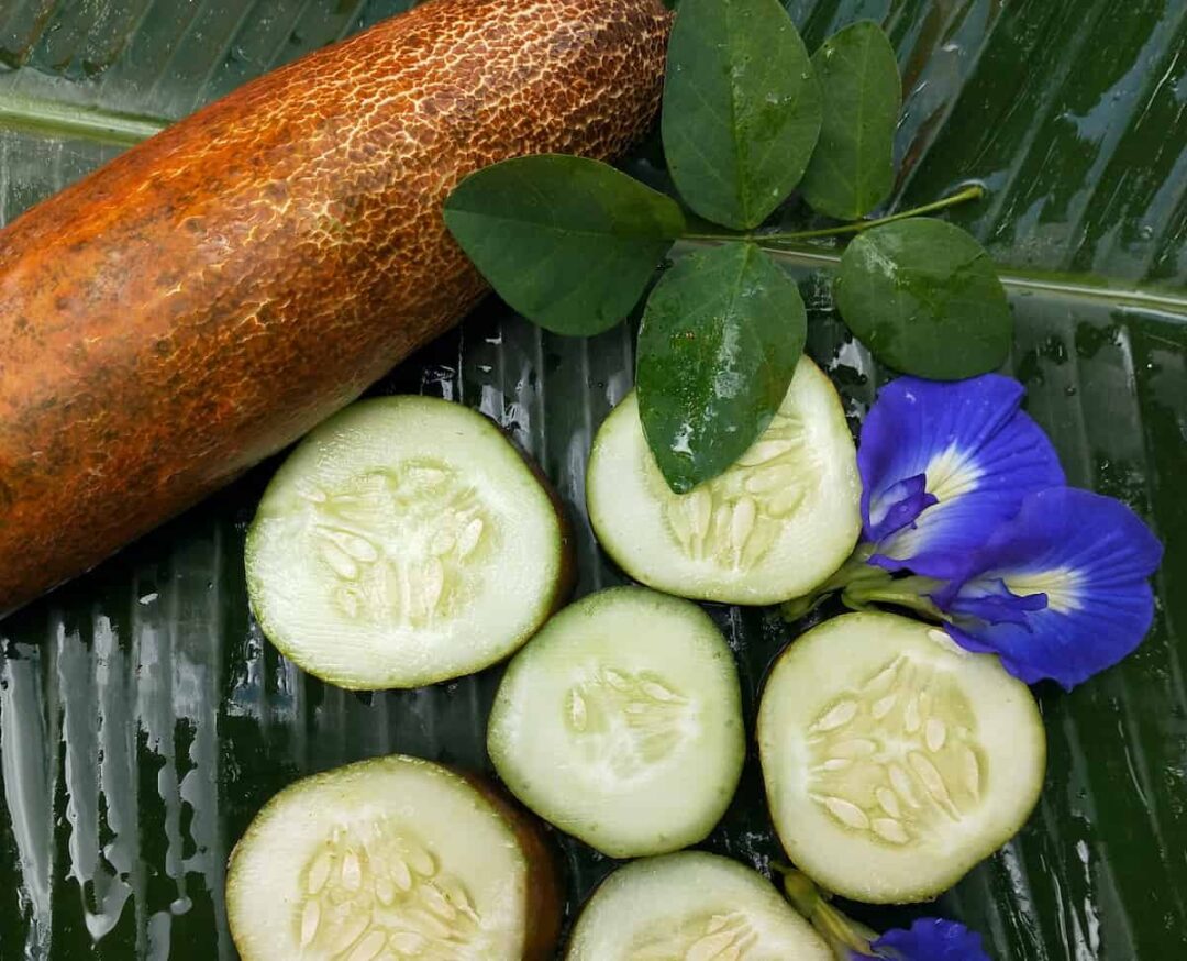 Poona Kheera Cucumbers - Minneopa Orchards