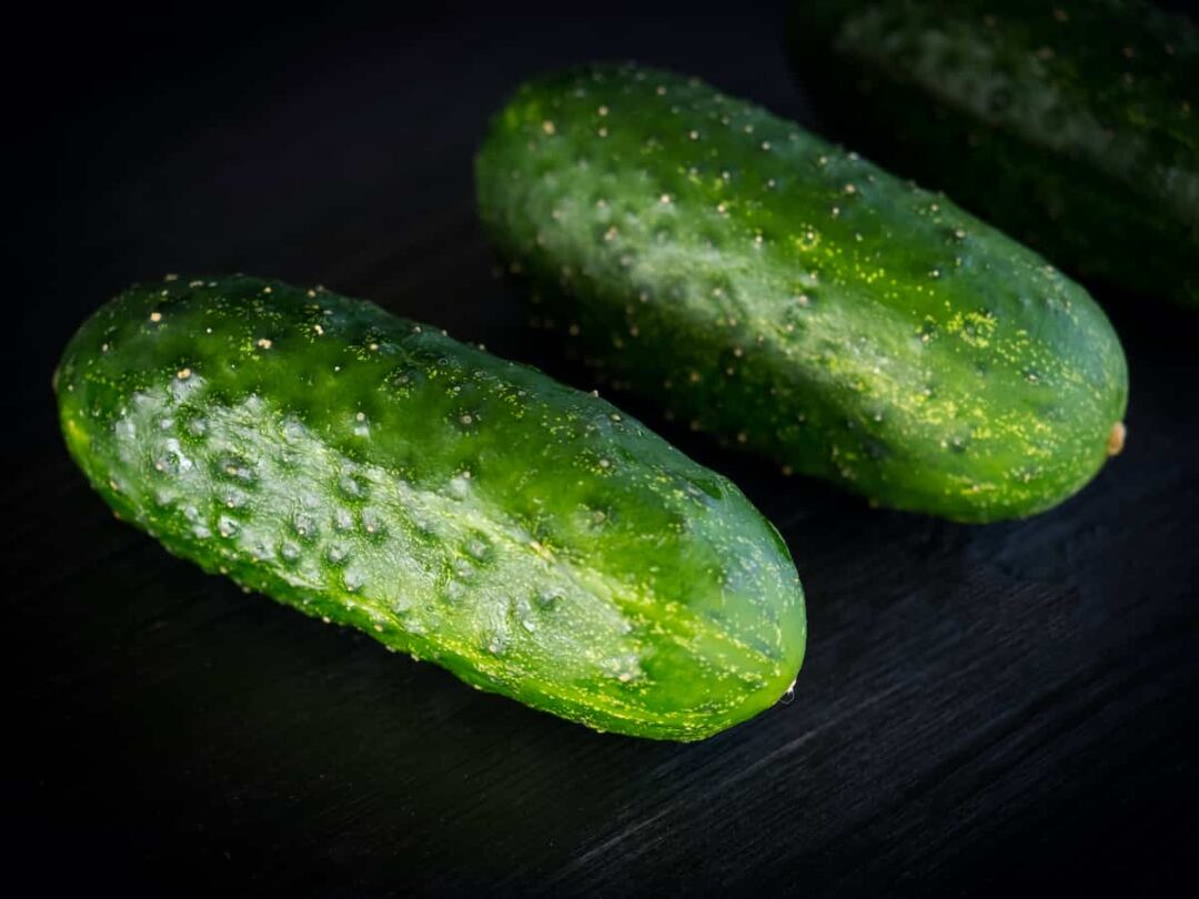 All About the Calypso Cucumber - Minneopa Orchards