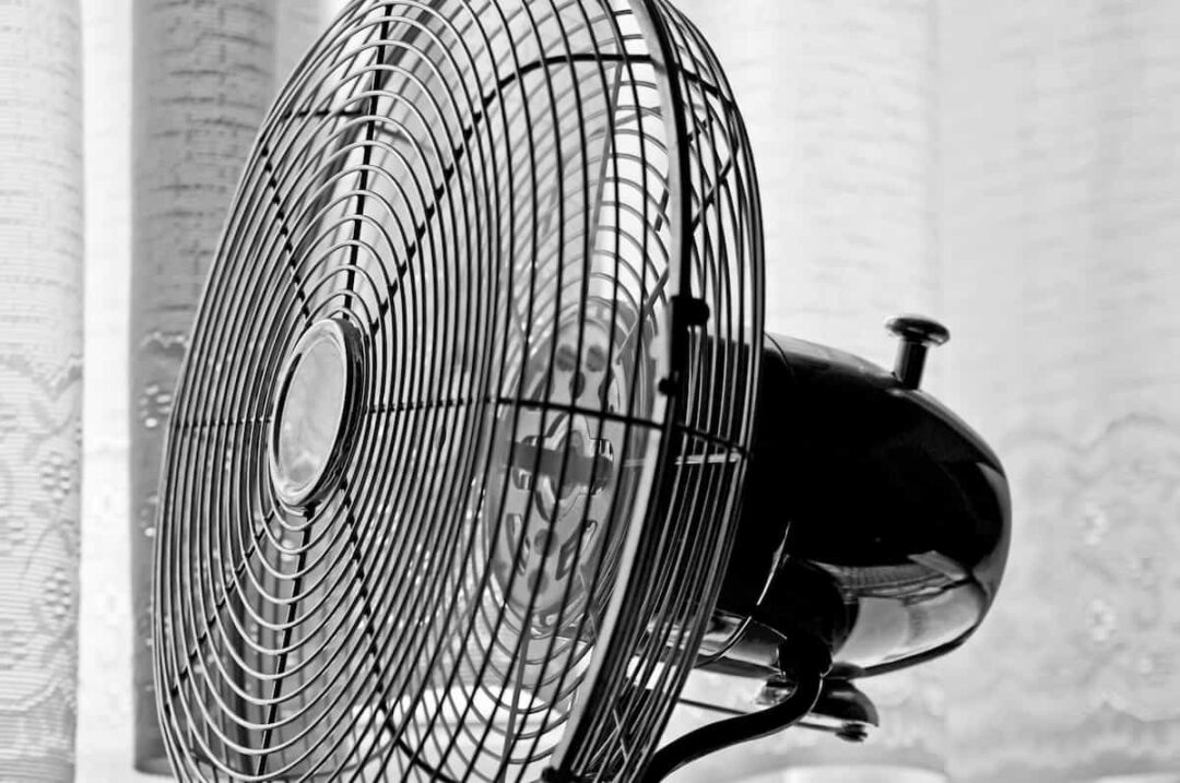 How Often to Water Seedlings - Minneopa Orchards