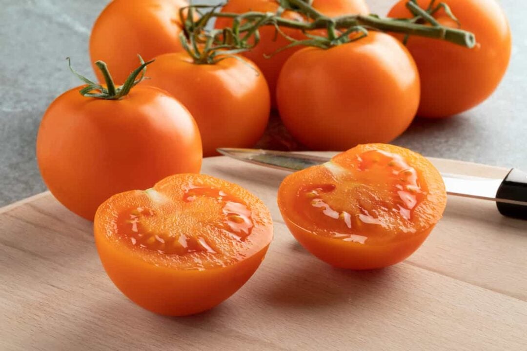 All About the Carolina Gold Tomato - Minneopa Orchards