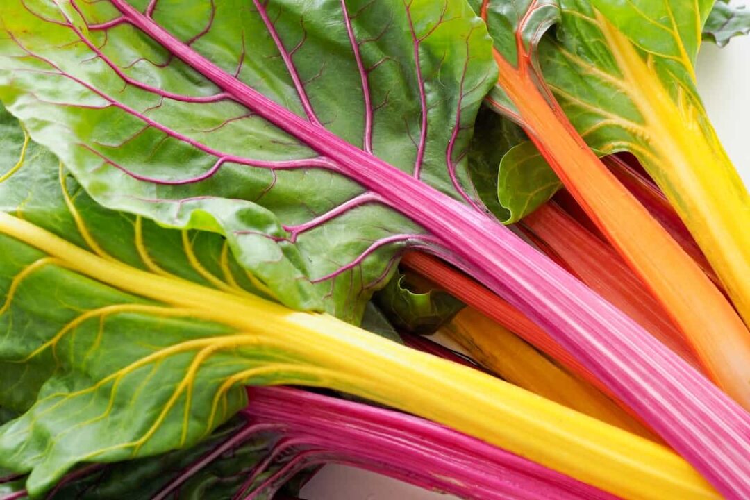 How to Plant Swiss Chard - Minneopa Orchards