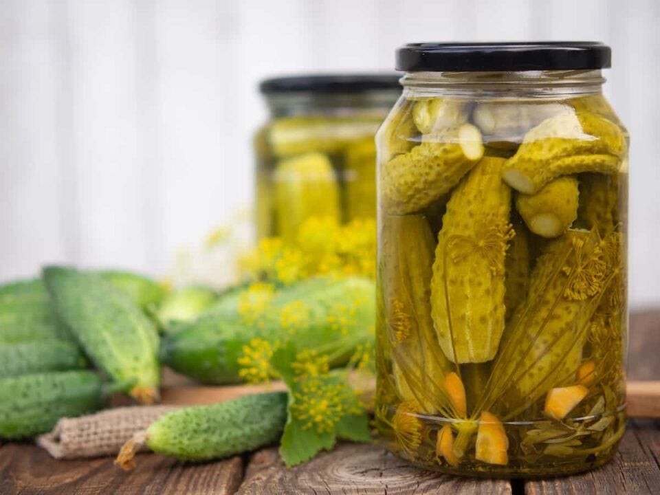 The Complete Guide to Pickling Cucumbers - Minneopa Orchards
