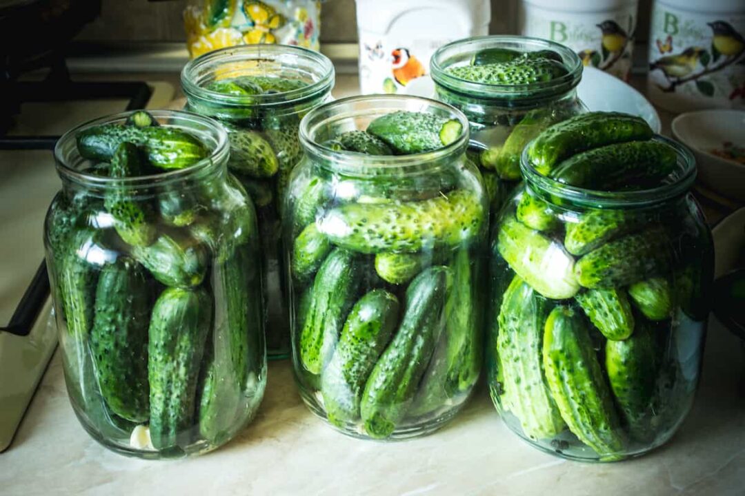 The Chicago Pickling Cucumber - Minneopa Orchards
