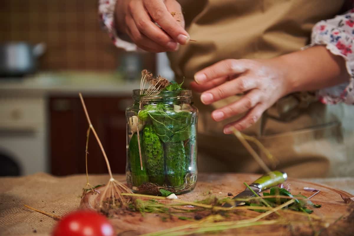 All About Picklebush Cucumbers - Minneopa Orchards