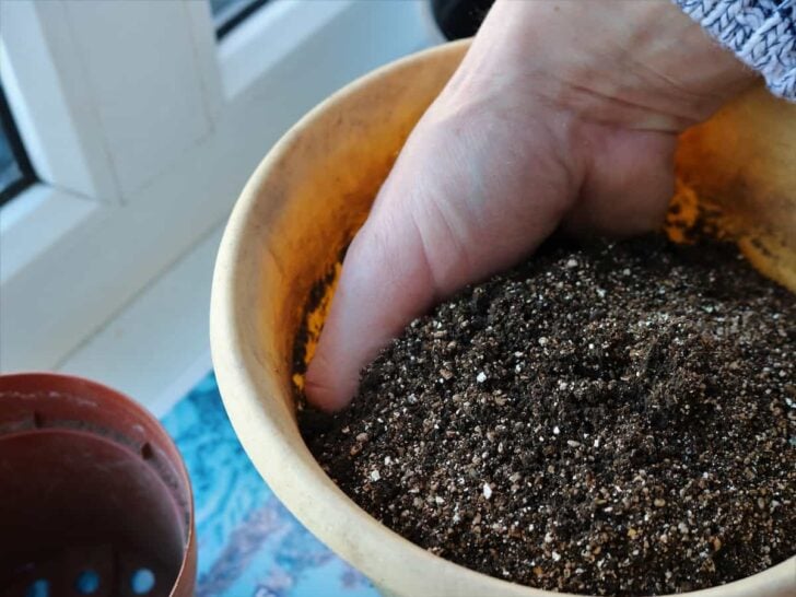 How to Create Organic Seed Starting Mix - Minneopa Orchards