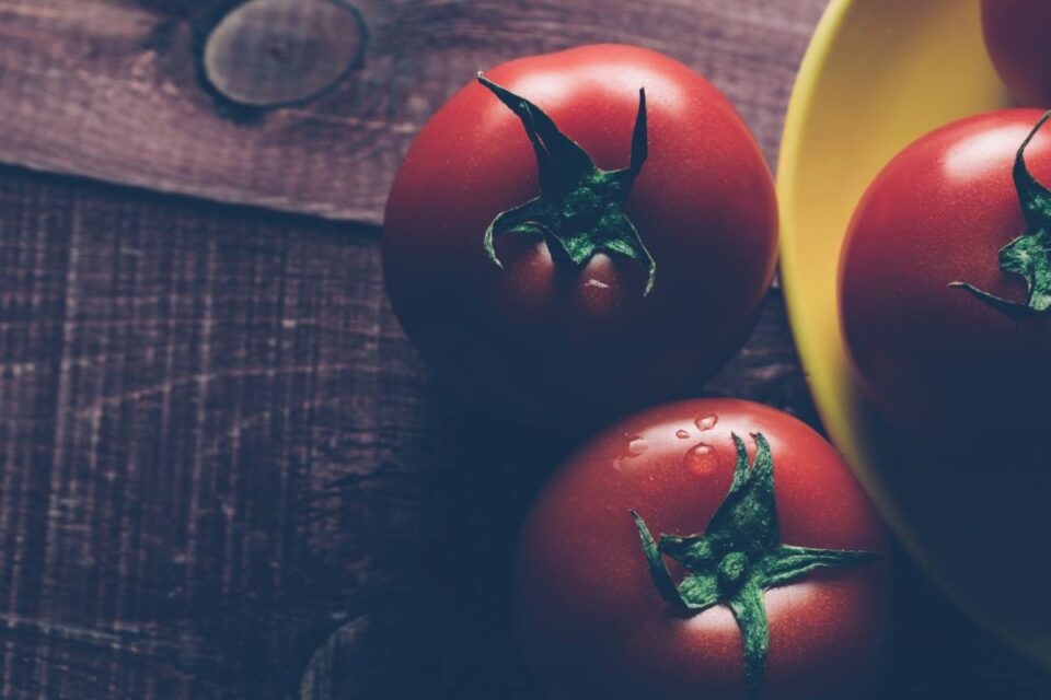 All About the New Girl Tomato - Minneopa Orchards