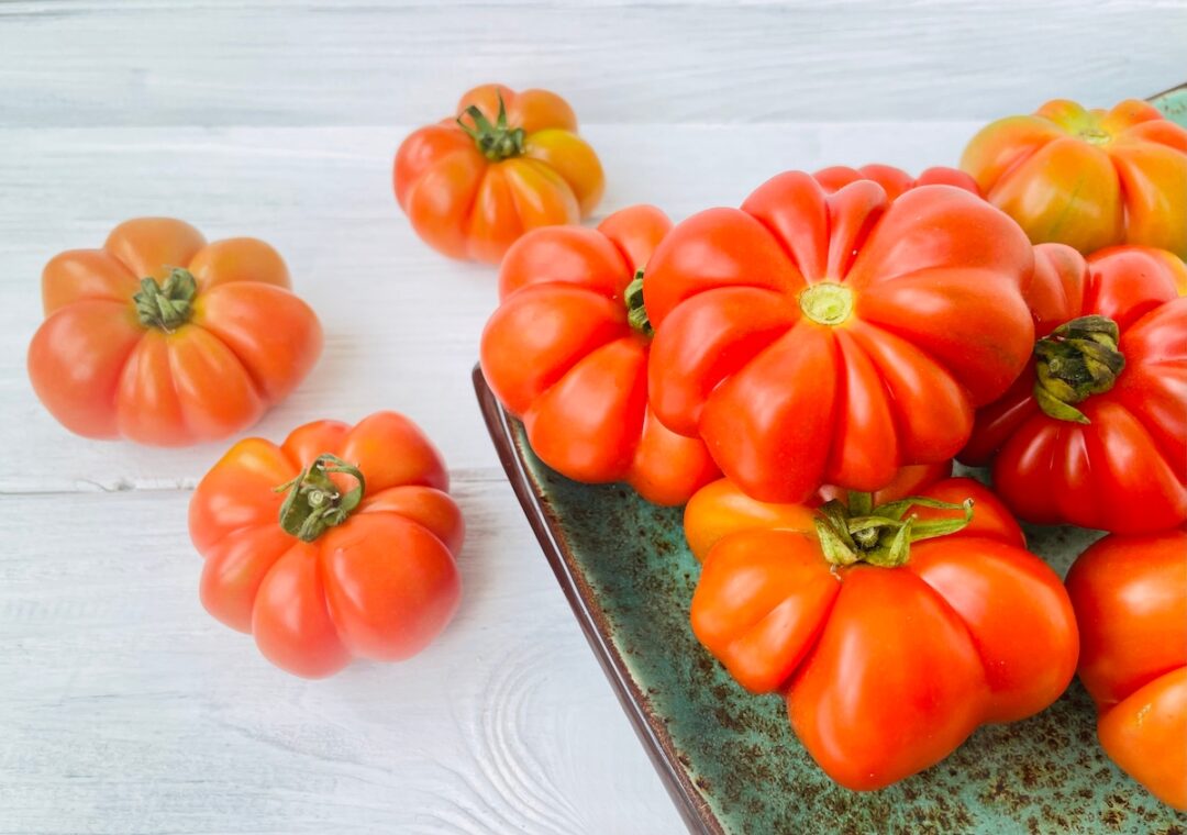 All About The Bountiful Homestead Tomato - Minneopa Orchards